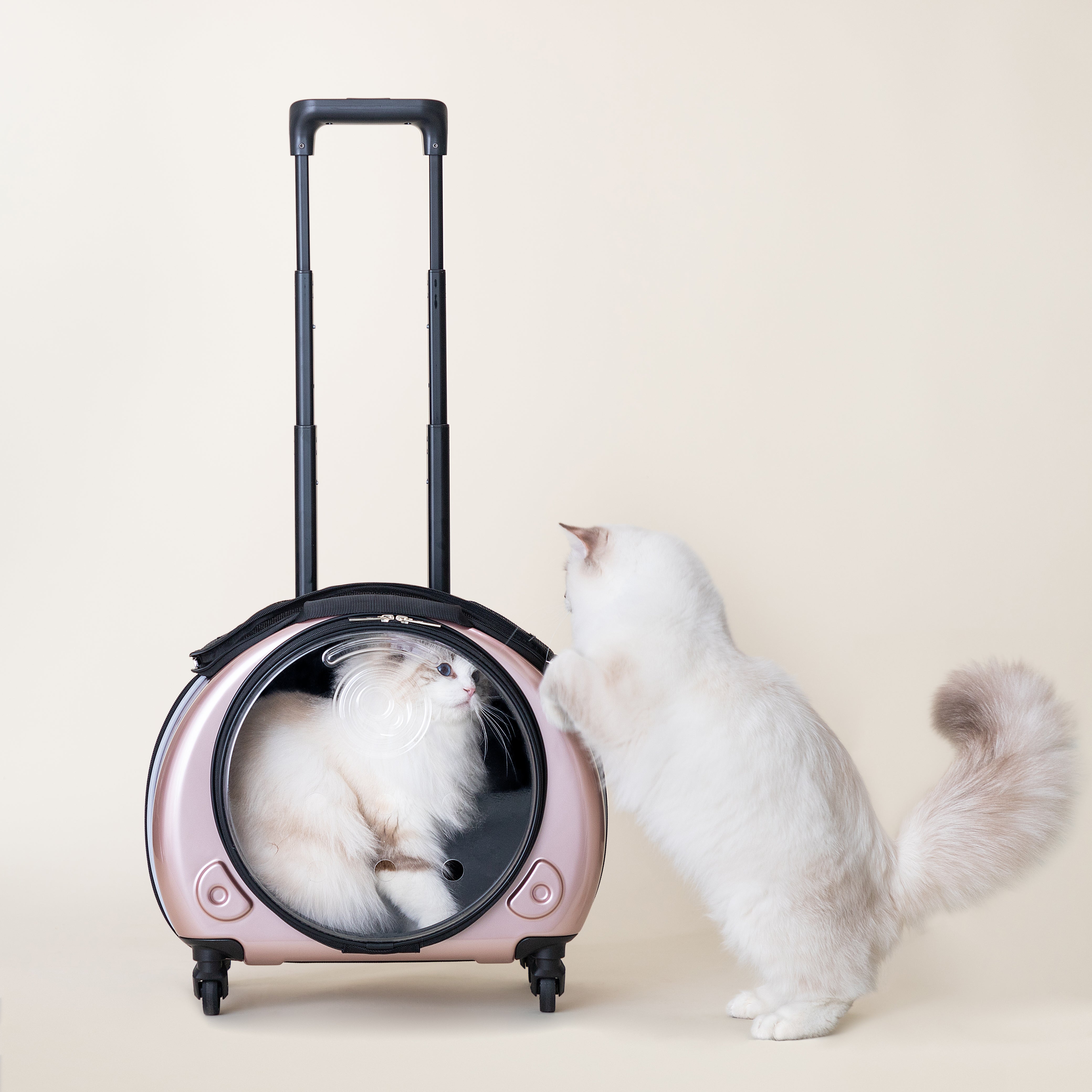 MIPET X PUBT Pet Carrier (Carriage Collection) – Mipet